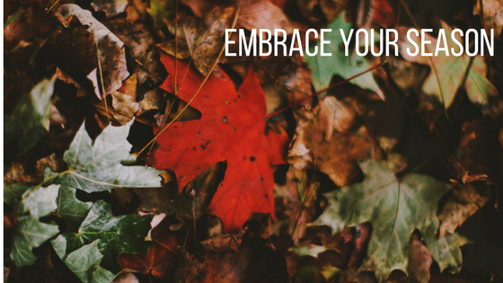 Embrace your season – At Your word, I will…