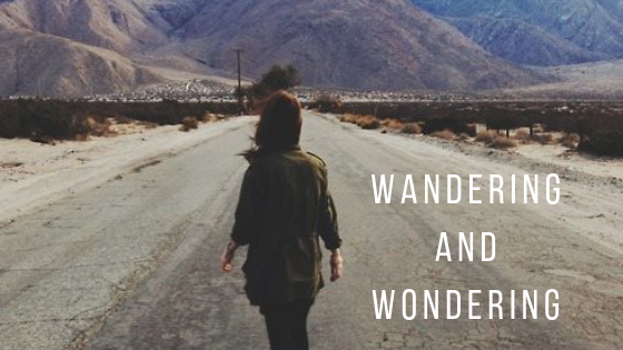 Wandering and Wondering – At Your word, I will…
